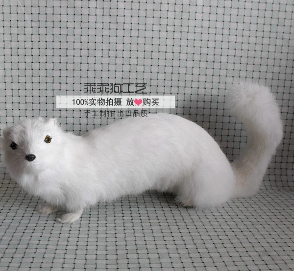 White Mink Animal