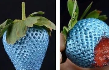 Blue Strawberry Plant