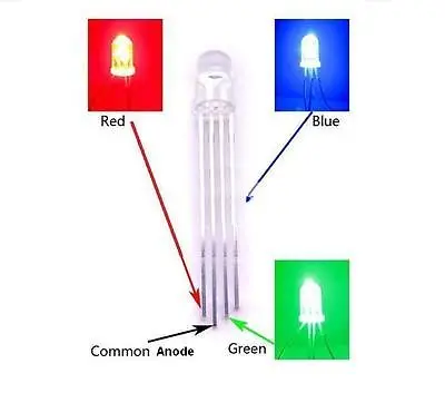 100pcs-5mm-RBG-LED-Red-Green-Blue-3colors-4pins-Common-Anode-FREE ...