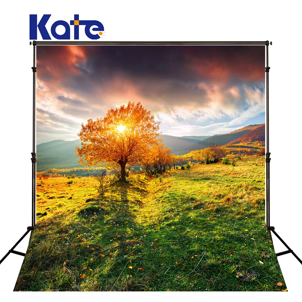 Kate Grassland Autumn Studio Background Backdrop Holiday Mountains ...
