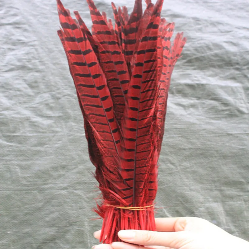 Wholesale 100 pcs Red Pheasants feathers 10 12inches/25 30cm Christmas ...