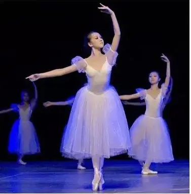 New 2015 Adult Ballet Dance Dress White Veil Tutu Dress Swan Lake ...
