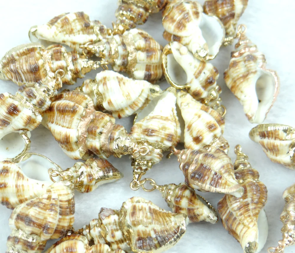 New Fashion Conch Shell Sea SHELL Gem PENDANT Beads Making jewelry 6pcs ...