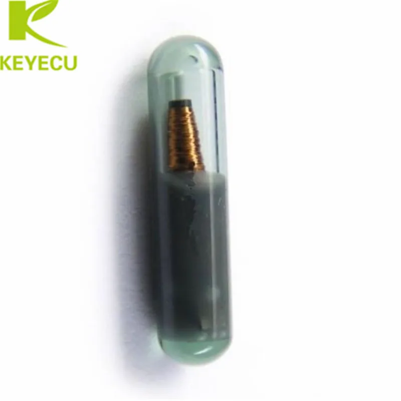 Keyecu Car Key Chips,can Id48 System Glass Chip A2 Tp25 For Volkswagen ...