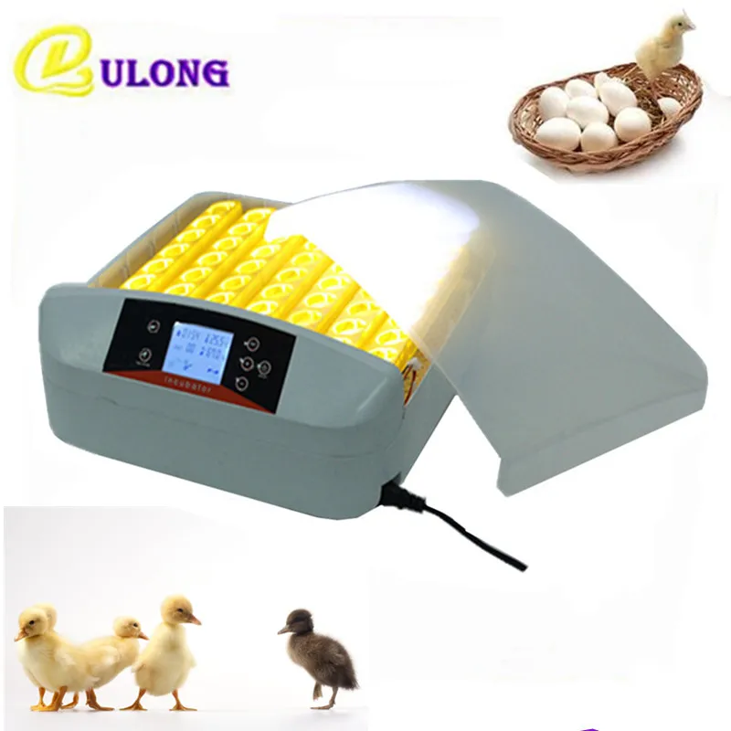 DE Small Commercial Incubator 56 Eggs Chicken Brooder Digital ...
