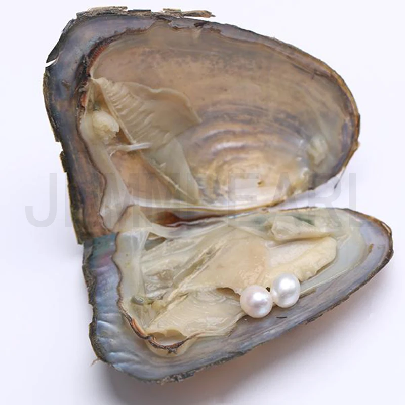 JNMM 60 piezas de ostras con perlas dobles blanco 6 7mm forma de arroz ...