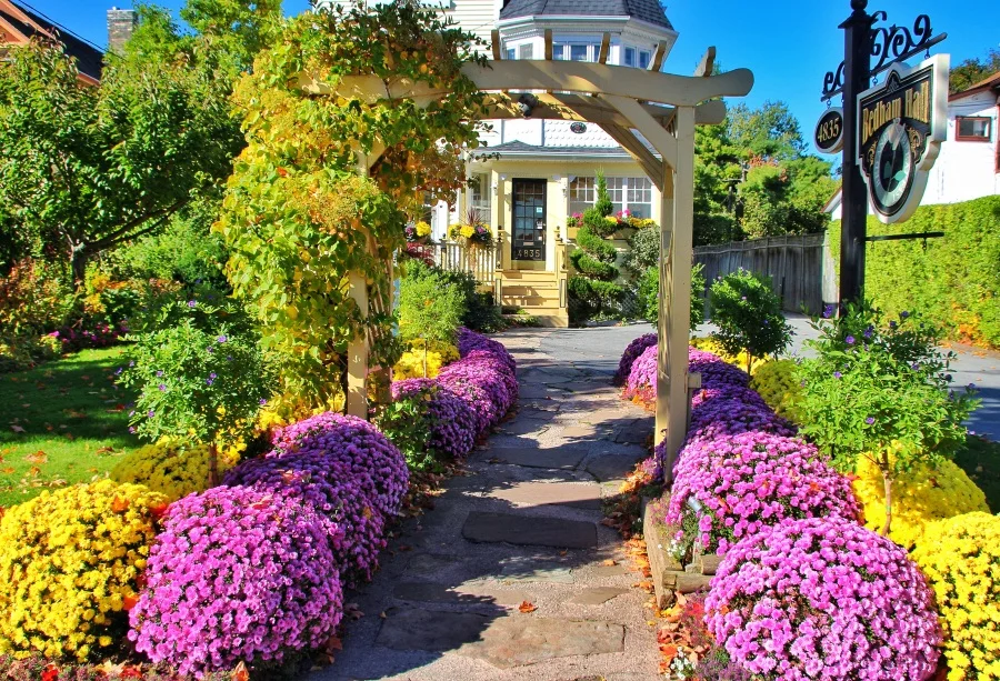 Laeacco Spring Blossom Flowers Porch Passage Scenic Photo Backgrounds ...