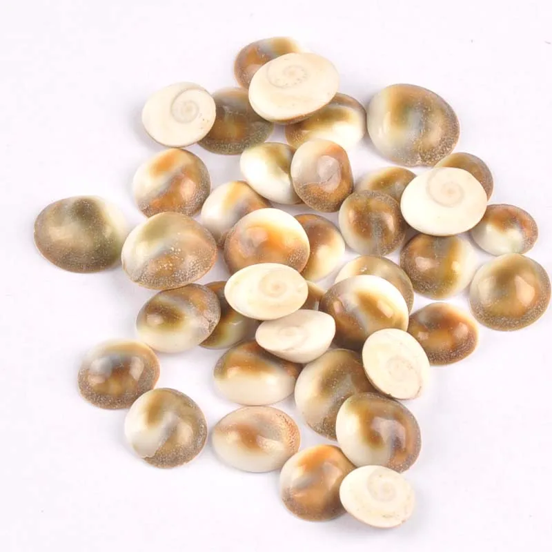 9-12mm No Hole Natural Spiral Shell For Flatback Cabochons Scrapbook ...