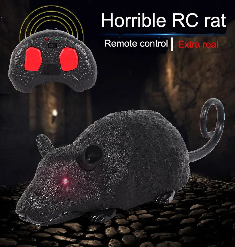 Scared Real Mouse