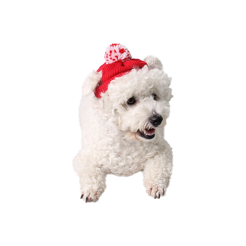 Sweatheart Cute Woolen Fashion Pet Dog Hat|dog fashion|dog dogdog cute ...