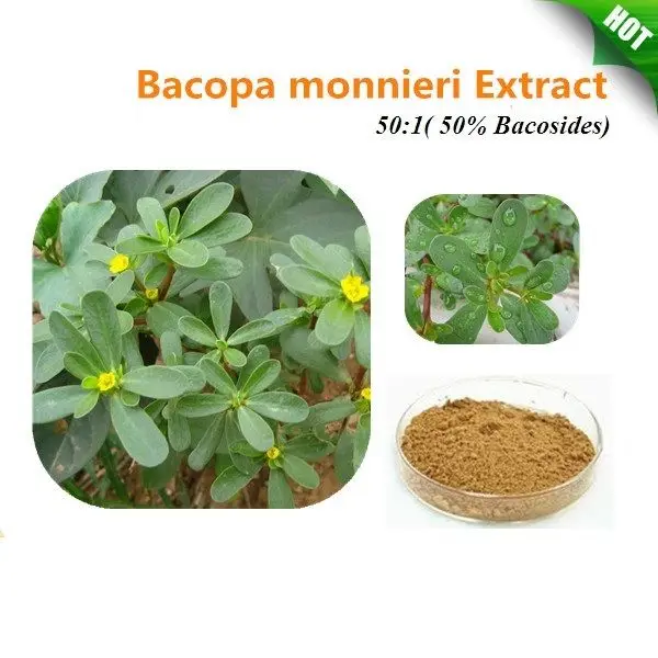 Free Ship 100% PURE Bacopa Monnieri 50:1 Extract Powder 50% Bacosides ...