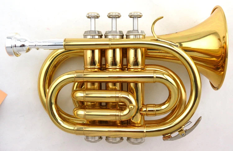 Palm, instrument pocket, brass instruments JYHT E100 paint golden ...