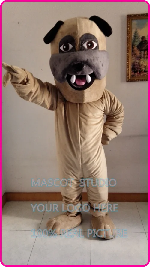 Zelda Bulldog Costumes