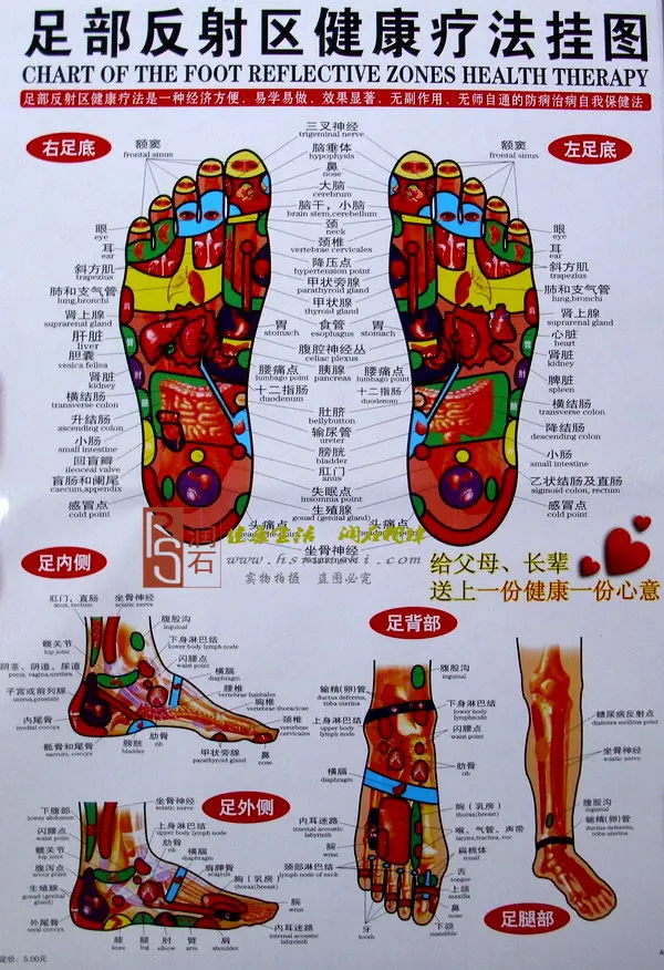 Affordable Health foot reflex zone flipchart \ foot points chart ...