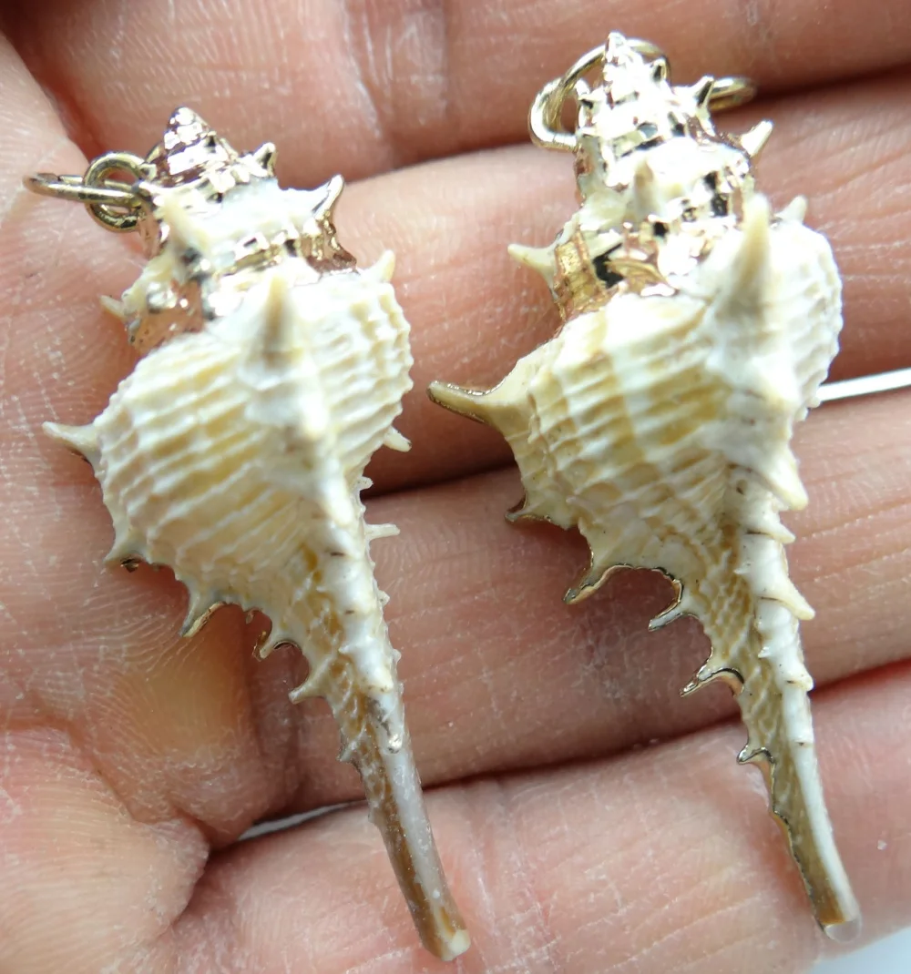 New-Fashion-Conch-Shell-Sea-SHELL-Gem-PENDANT-Beads-Making-jewelry-6pcs ...