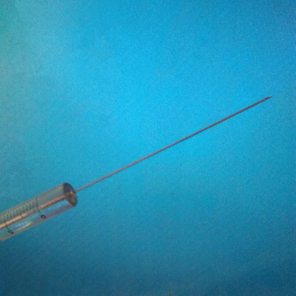 Microliter syringe Gas chromatographic injector with cone tip ...