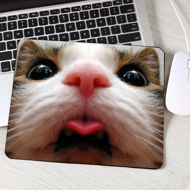 Mairuige Beautiful Funny Cute Cat Pet Animal Pattern Photos mouse Pad ...
