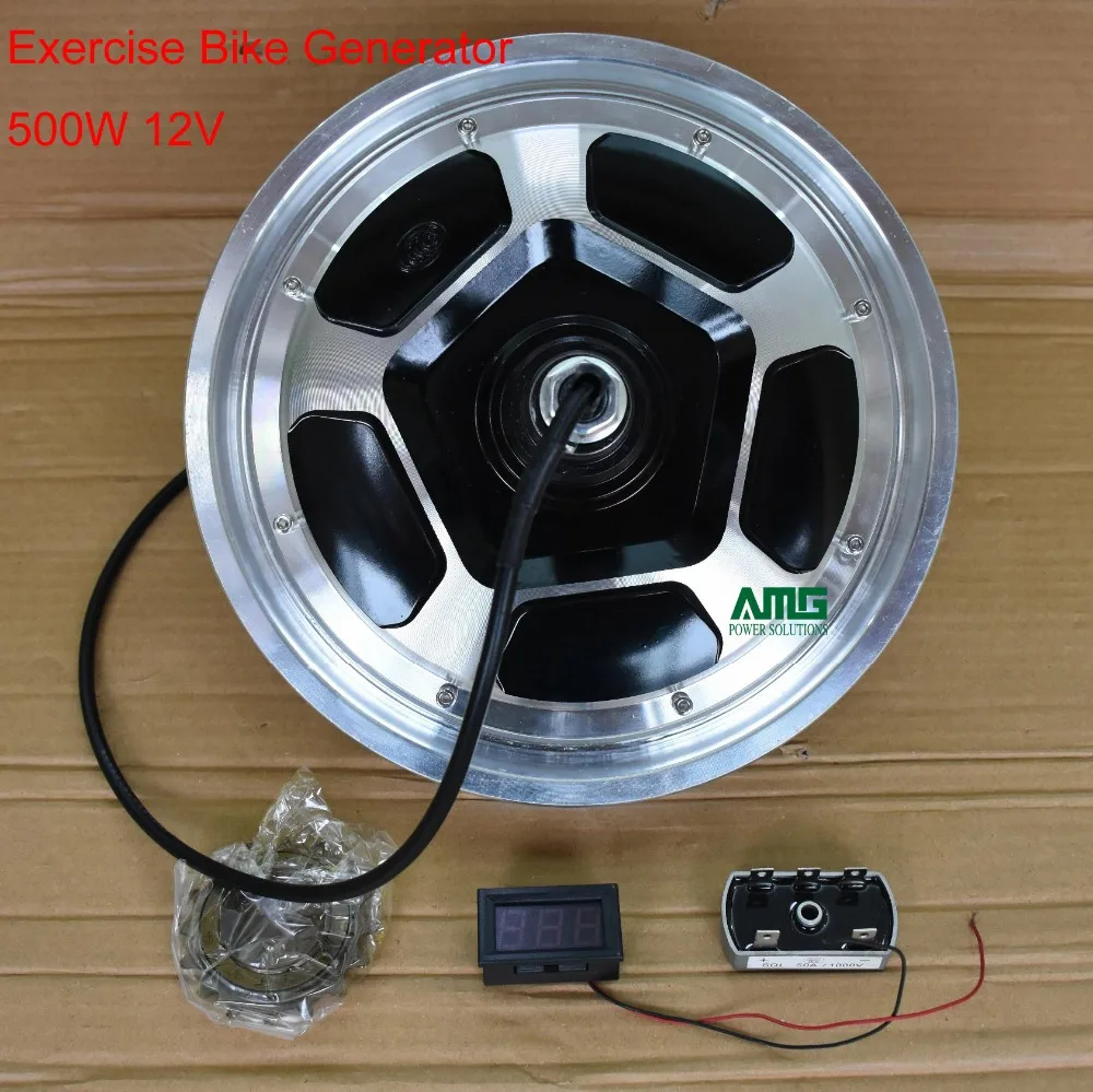 600W DIY Human Physical Power Bike Generator Brushless Permanent Magnet ...