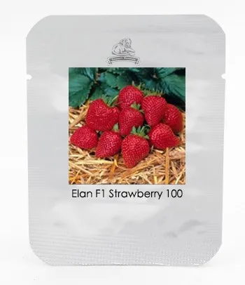 US$ 1.04 - Elan F1 Strawberry Seeds, 1 Professional Pack, 100 Seeds ...