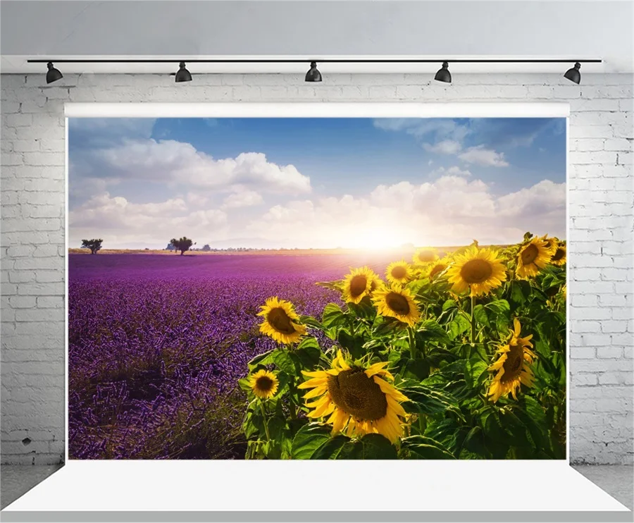 Laeacco Sunrise Lavenders Field Sunflowers Scenic Photography Backdrops ...