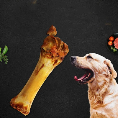 Are Beef Bones Good For Dogs Teeth