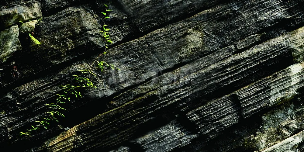 Aquarium Rock Background