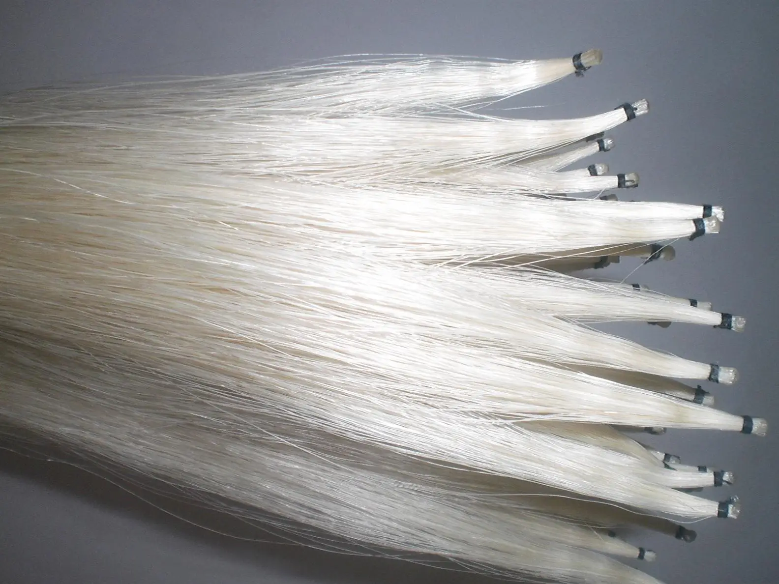 20 PCs White Horse hair 32 inches 6 gram each one Mongolia Horse tail ...