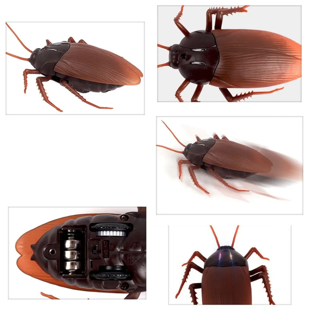4 Inch Remote Controlled Fake Cockroach – Swag Cobra