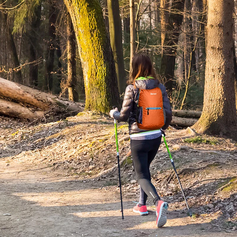 Gonex 20L Ultralight Foldable Backpack - Rhino Camping