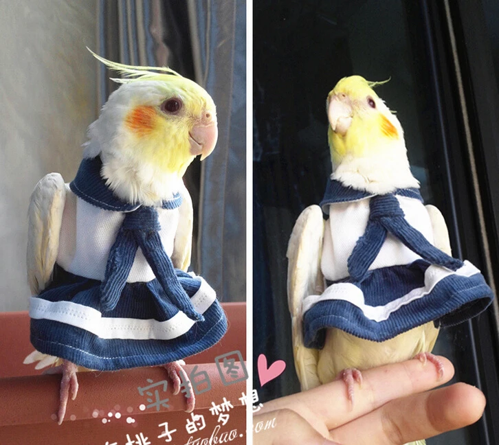 Custom-made Pet Clothes Hand-made Clothes Parrot Bird Cockatiel ...