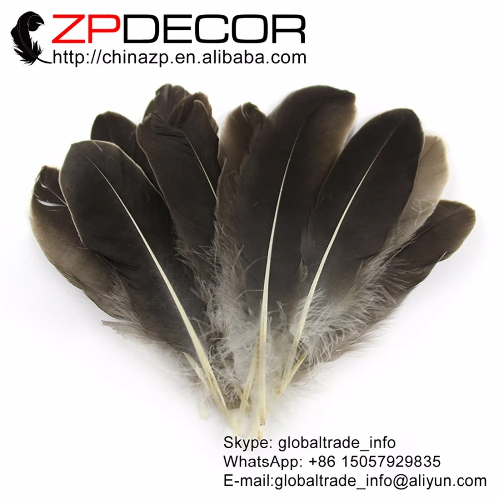 ZPDECOR 15 20cm(6 8inch) 50pieces/lot New Natural Grey Goose Feathers ...