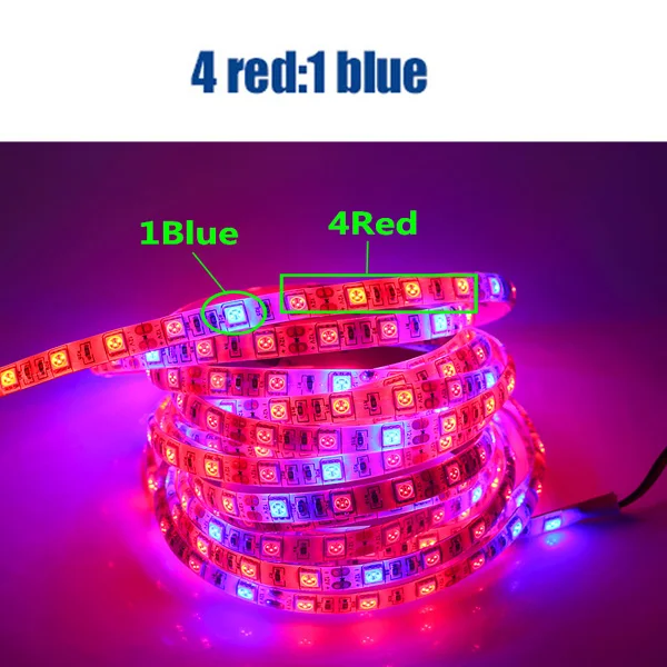 LED Red and Blue Grow Strip Lights - Growing in My Box