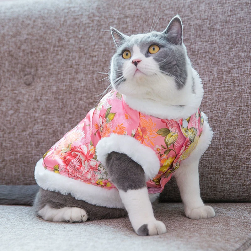 [MPK Cat Wear] Cat Jacket, Elegant Cat Chinese Cheong sam, Lady Cat ...