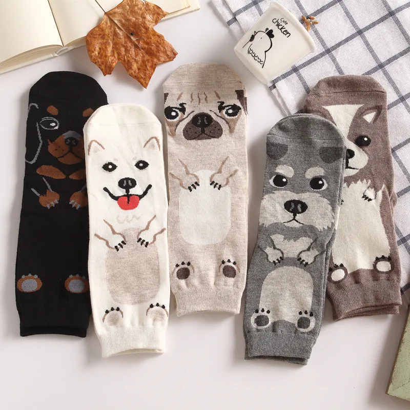 Socks Dachshund | Dachshund Socks Womens | Socks Pug Pattern | Pet Dog ...