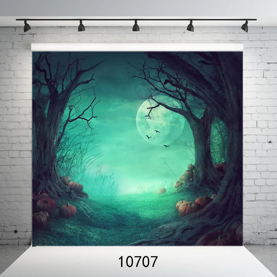 SJOLOON All Saints' Day photography background Hallowmas photography ...