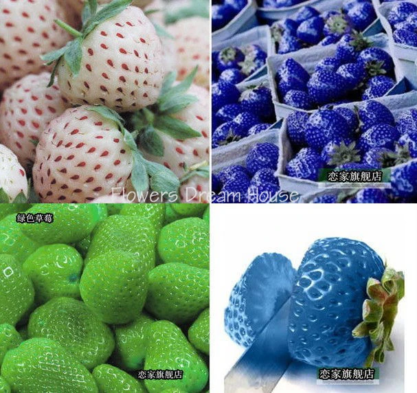Blue Strawberry Seeds