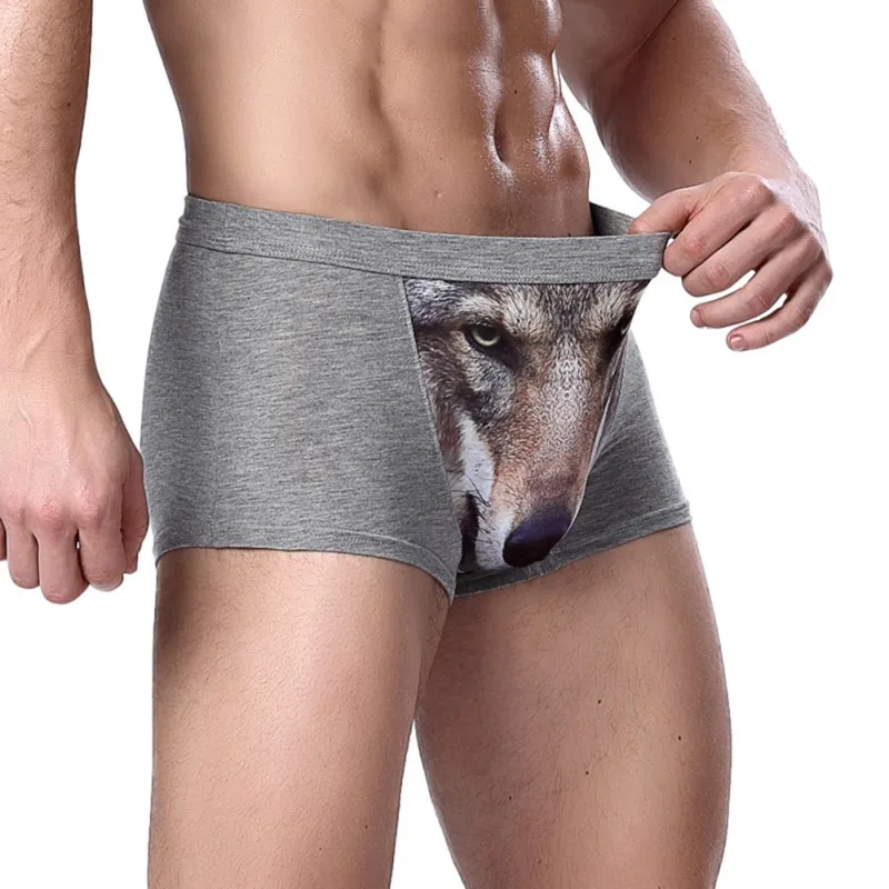 Bulge Enhancing Underwear Lpsg