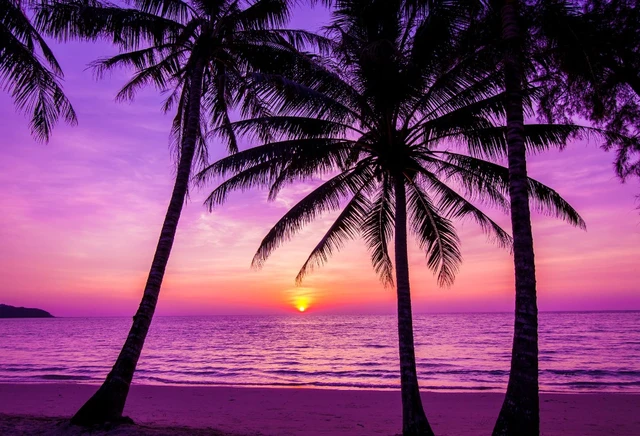 Purple Summer Beach Sunset