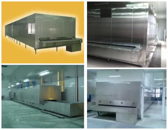 IQF system/High Quality SSD IQF Cryogenic System/fruit & vegetables IQF ...