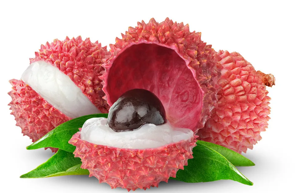 Online Buy Wholesale lychee tree from China lychee tree Wholesalers ...