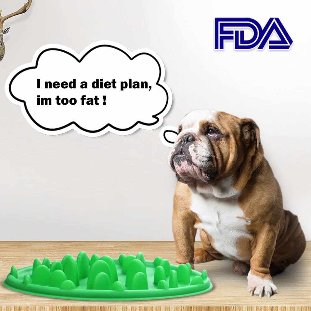 Why Do Some Dogs Gulp Their Food