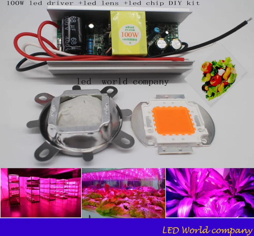 2018-New-Indoor-DIY-LED-Grow-light-KIT-100W-full-spectrum-led-Non ...
