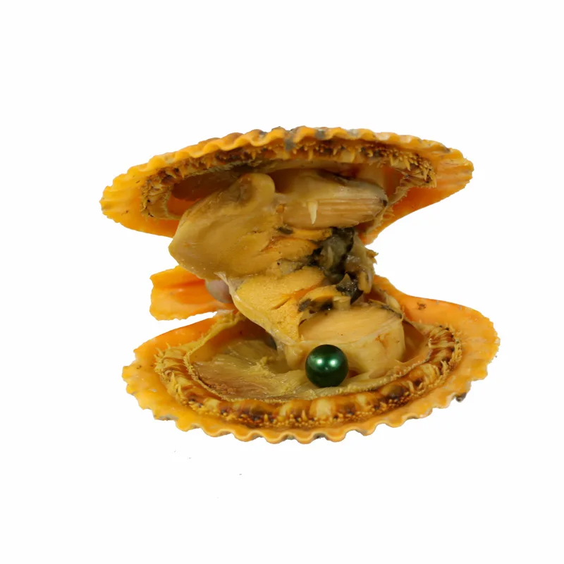 Single Pearl in Red Orange Oyster 6 7mm Round Colored Akoya Pearls Love ...