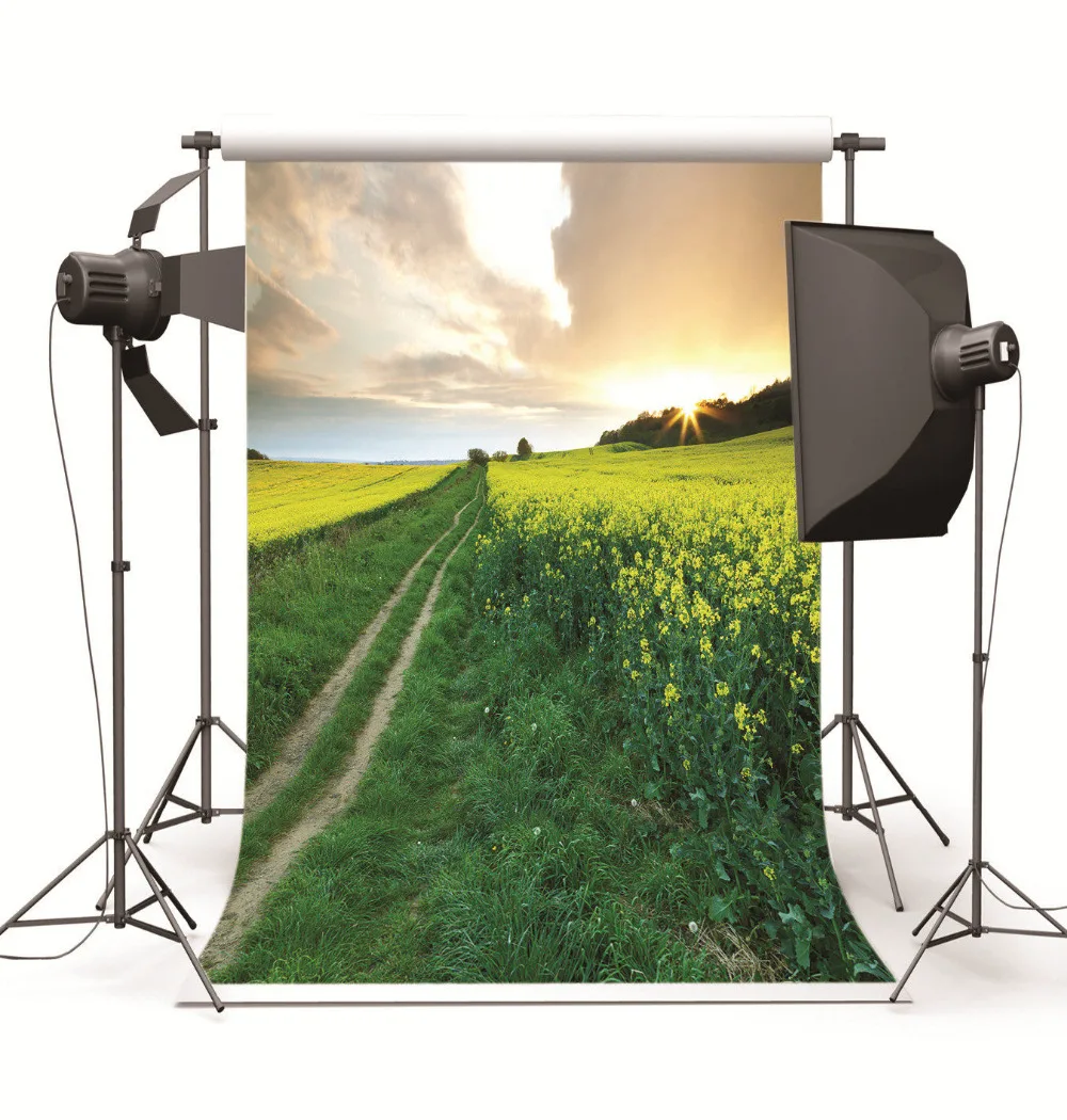 Computer Printed Photography Background Scenic Art Fabric Cloth ...