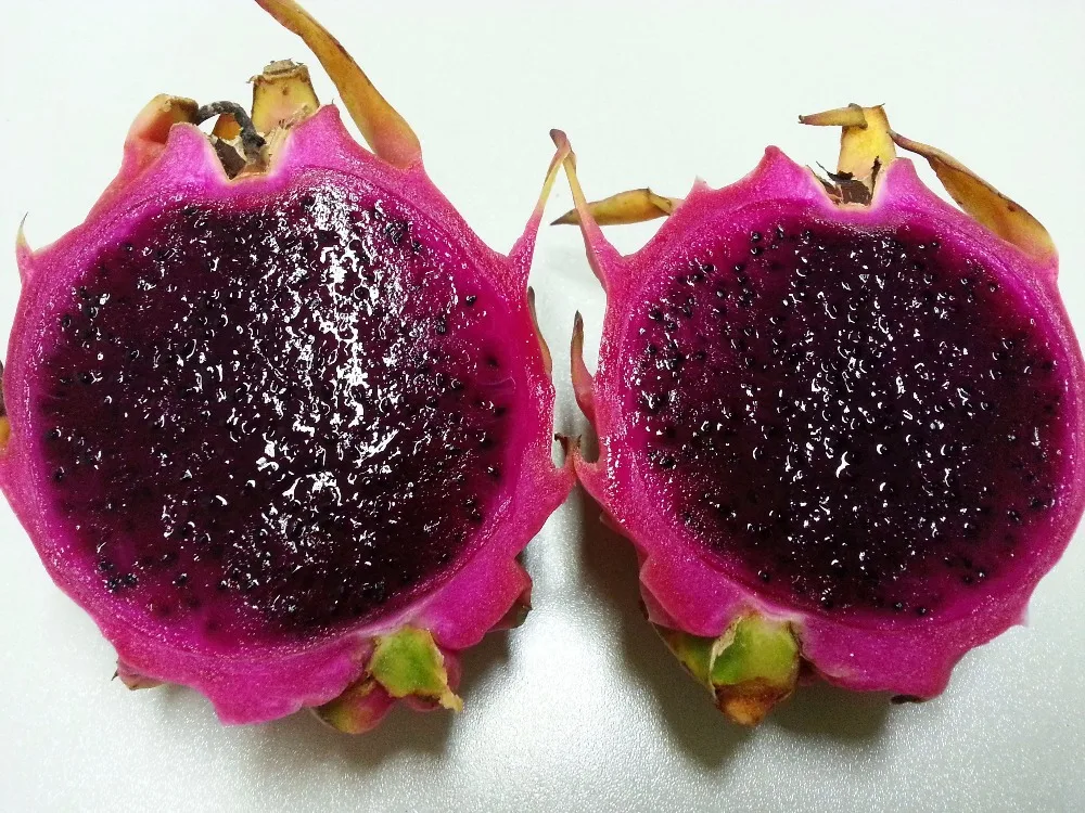 Online Buy Wholesale red pitaya from China red pitaya Wholesalers ...