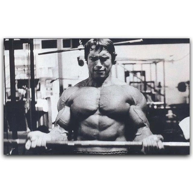 Arnold Schwarzenegger Motivational Poster