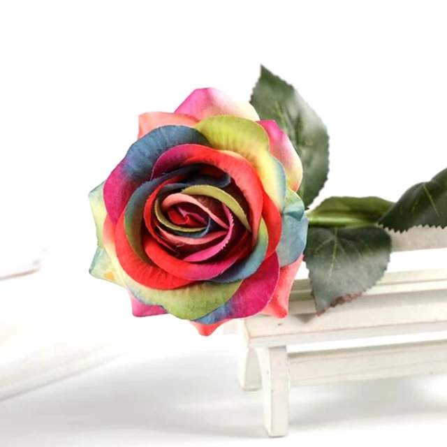 Real Rainbow Rose Garden