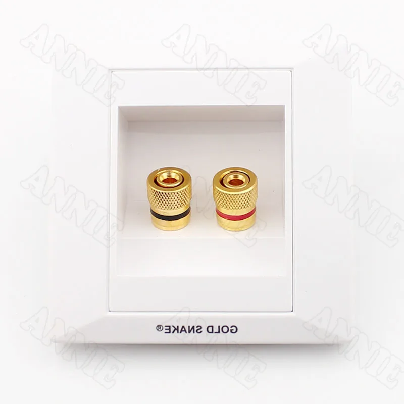 5pcs/lot 2 Hole Speaker Panel For Gold Snake Audio Interface Dark ...
