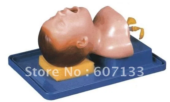neonatal tracheal intubation model(airway model)|model flocking ...