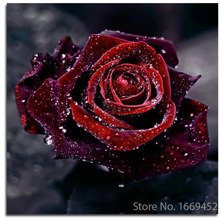 5d diy embroidery diamond roses canvas Rhinestones flower Purple roses ...